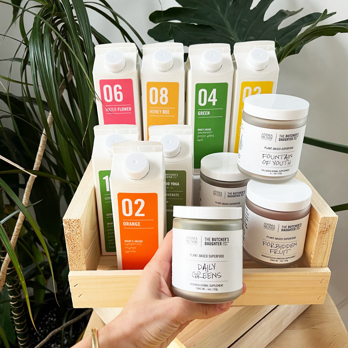 Juice Flight Bodega Box – The Butcher's Daughter Shop
